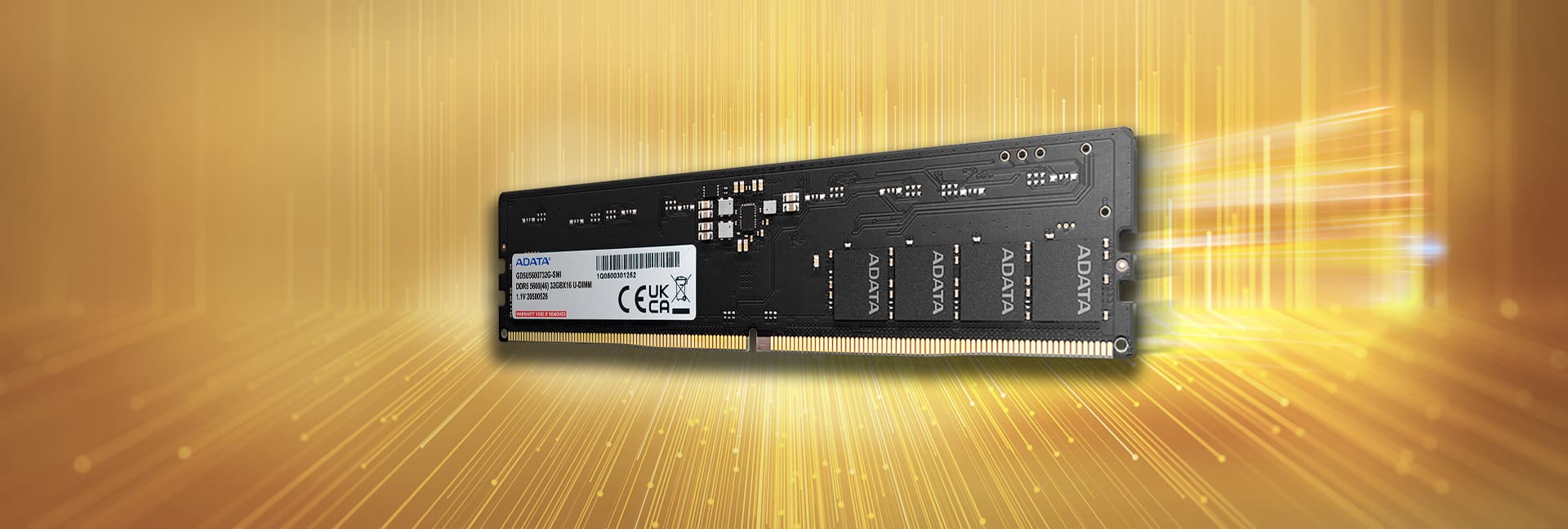 GOLD DDR5 5600 U-DIMM Memory Module | ADATA (Global)