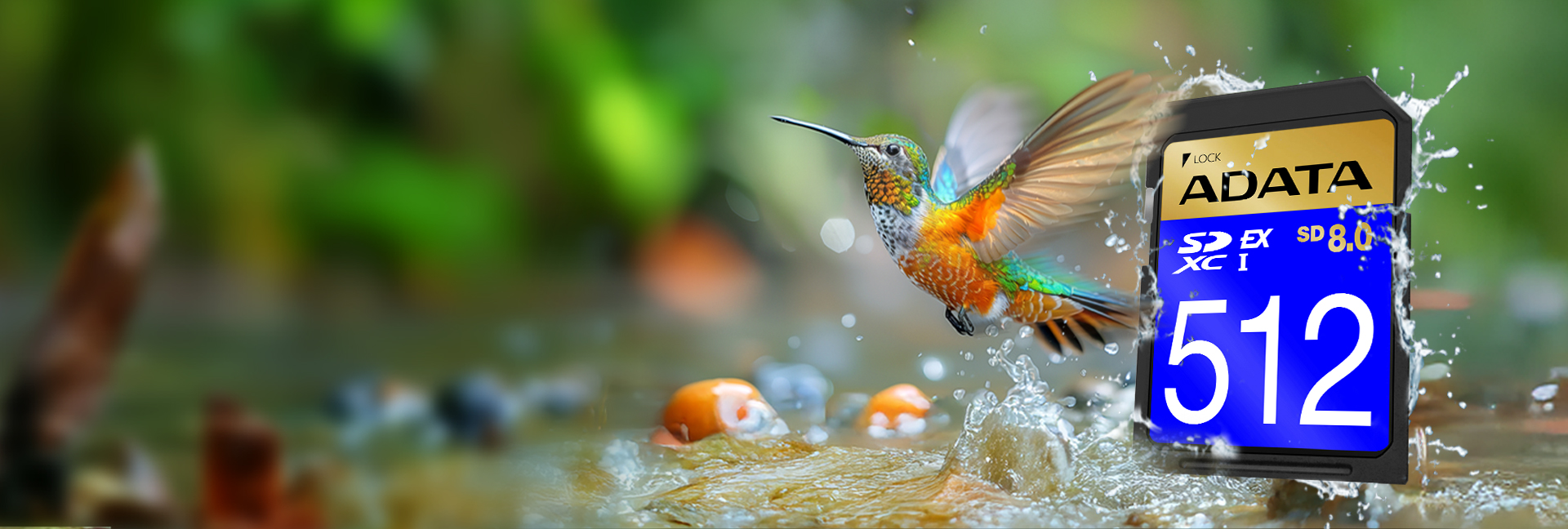 ADATA SDXC SD8.0 EXPRESS Memory Card (Global)