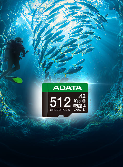 Tarjeta SPEED PLUS microSDXC UHS-I U3 Clase 10 (Mexico)