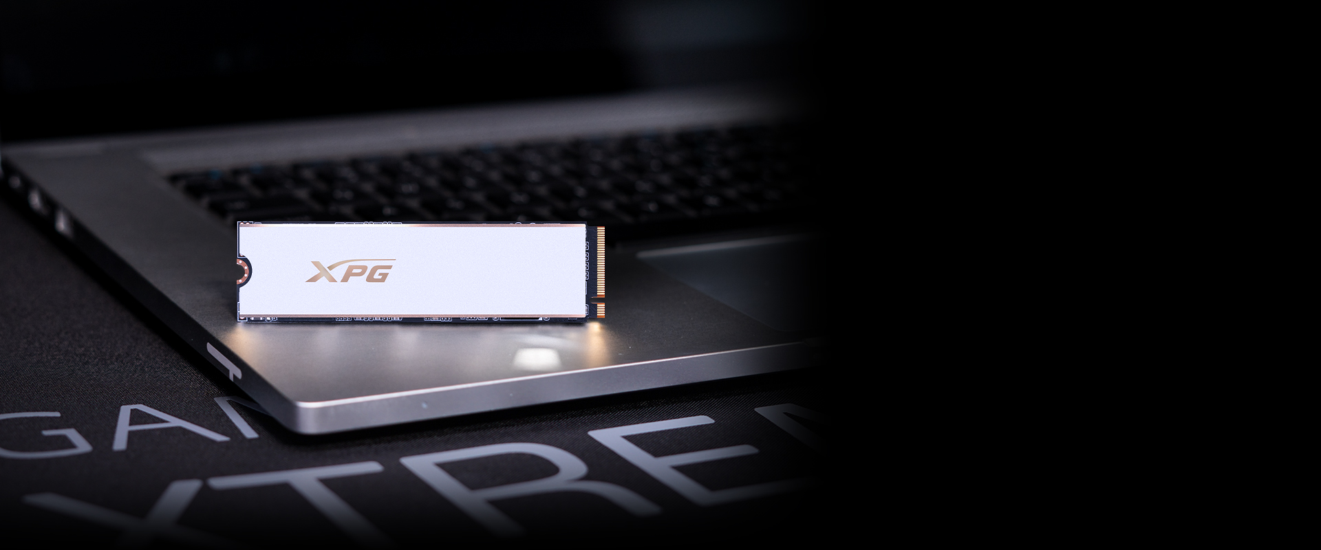 XPG GAMMIX S70 PRO PCIe Gen4 x4 M.2 2280固態硬碟